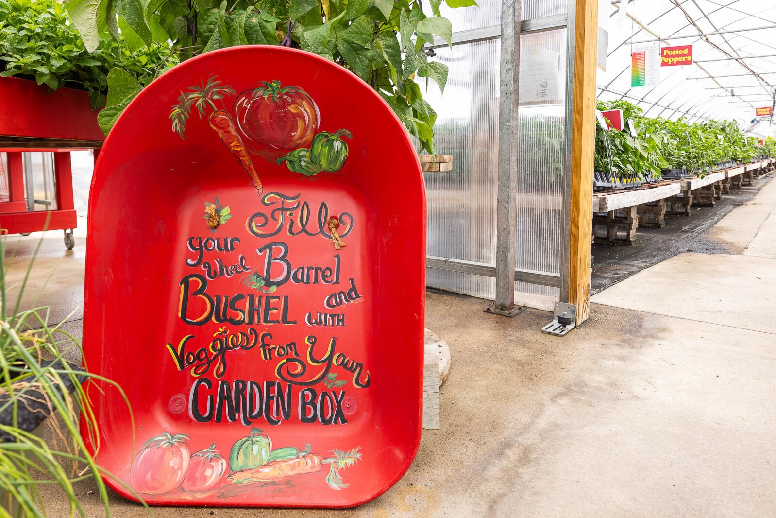 Thriving: Meet some of the longest-standing plant nurseries in Macomb ...